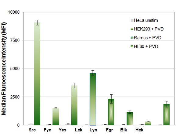 MILLIPLEX® 8-Plex Human Src Family Kinase Kit – Phosphoprotein - Cancer ...